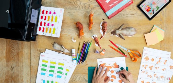 V Creative Park získate papierové modely áut, lodí alebo zvierat a ...